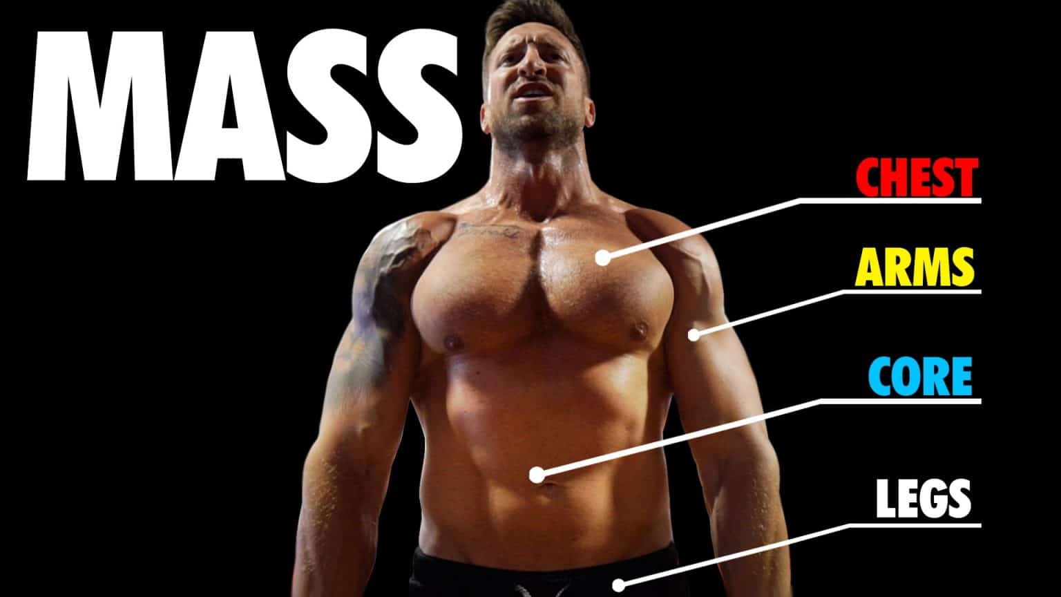 12 Week Mass Building Workout - SuperHuman Fitness