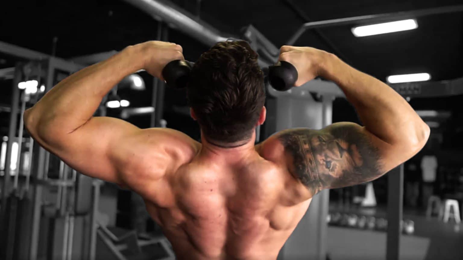 Trap Exercises For Bane-Like Traps! - SuperHuman Fitness